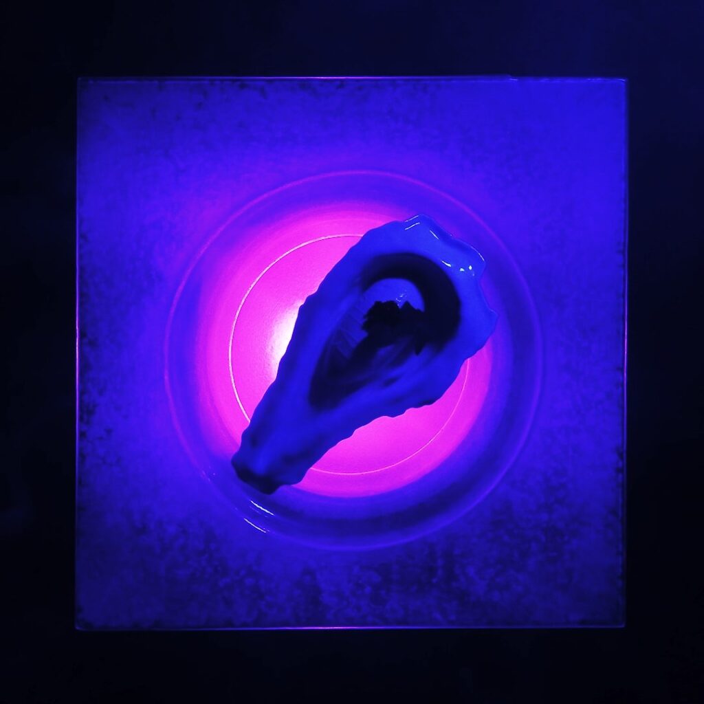 Home - Kitchen Theory Immersive Dining