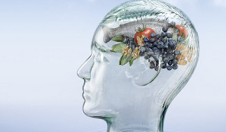 FOOD, THE BRAIN AND US: EXPLORING OUR HISTORICAL, CULTURAL AND SENSORY ...