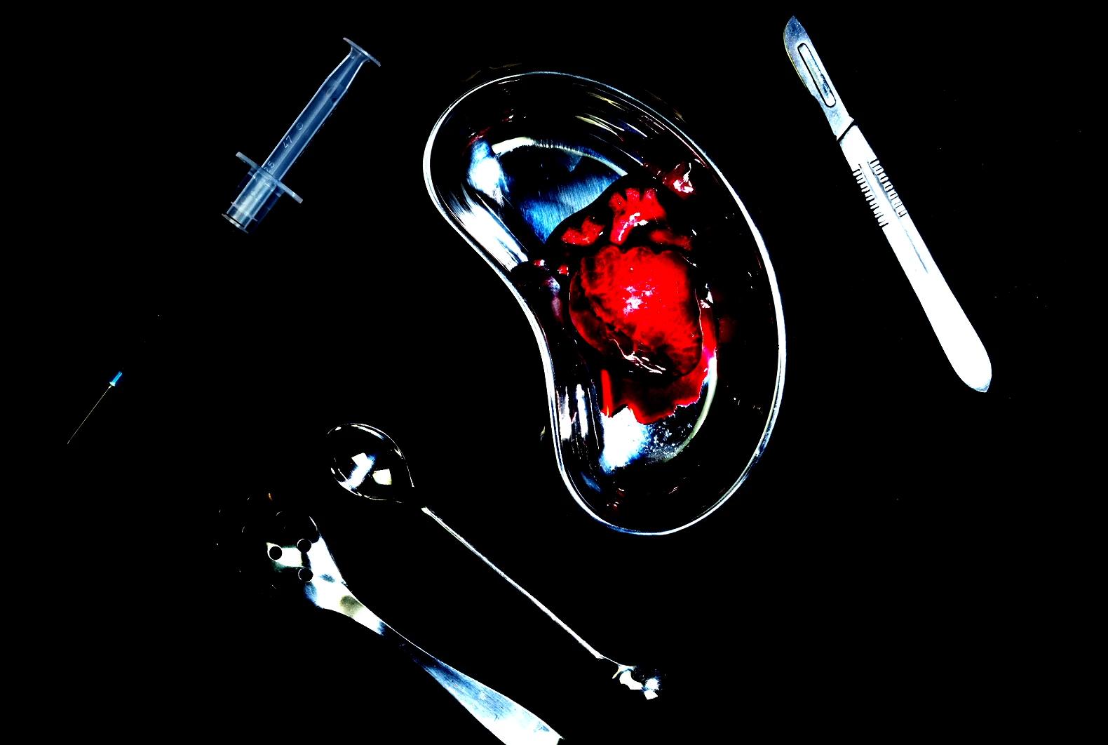 Home - Kitchen Theory Immersive Dining